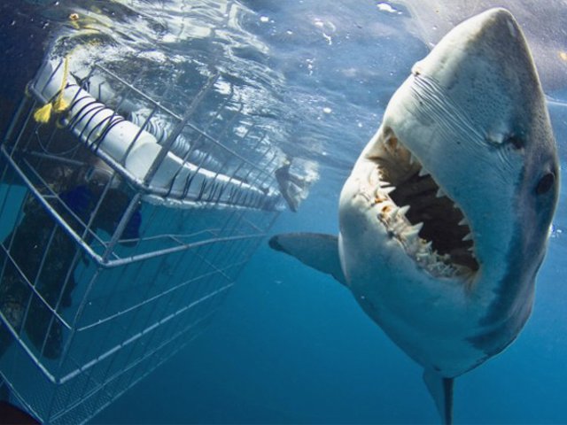 What to do in Cape Town | Lightfoot Travel Guide | Honeycombers